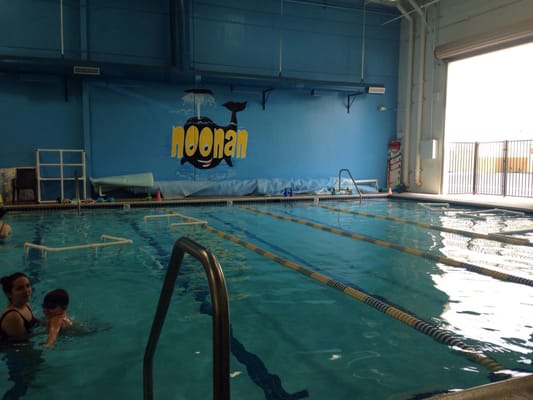 NOONAN FAMILY SWIM SCHOOL - Updated August 2025 - 14 Photos & 98 ...