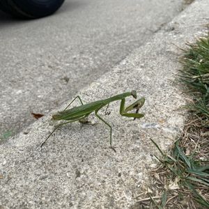 MGOLF DRIVING RANGE - Updated July 2024 - 11 Reviews - 4000 W Chester ...