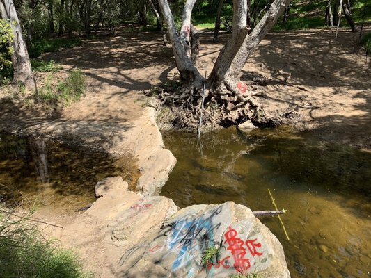 WALNUT CREEK PARK - 175 Photos & 59 Reviews - Hiking - 1100 Valley Ctr ...