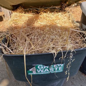 ABSOLUTE PROPERTY MANAGEMENT - Updated October 2025 - 18 Photos - 3400 ...