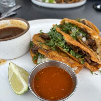 BRAVIS - Updated December 2024 - 237 Photos & 251 Reviews - 2815 ...