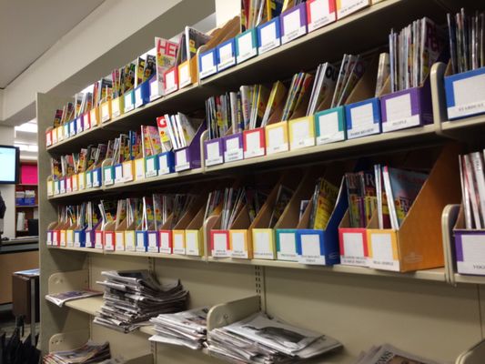 QUEENS PUBLIC LIBRARY - STEINWAY - Updated December 2025 - 10 Photos ...