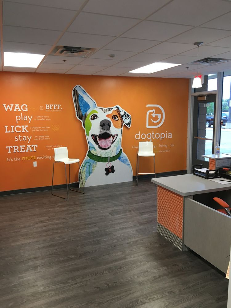 DOGTOPIA OF BLOOMINGTON - Updated January 2026 - 31 Photos & 31 Reviews ...