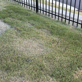 BLAND LANDSCAPING - Updated October 2025 - 13 Photos & 12 Reviews ...