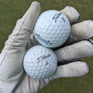 GOVERNORS TOWNE CLUB - Updated September 2024 - 195 Photos & 12 Reviews ...