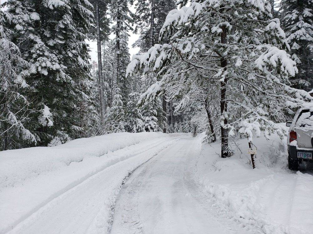 EMIGRANT SPRINGS STATE PARK - Updated March 2025 - 26 Photos & 15 ...