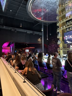 ALBATROSS - Updated January 2026 - 131 Photos & 56 Reviews - 991 US Rte ...