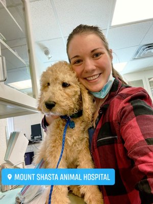 MT SHASTA ANIMAL HOSPITAL - Updated September 2025 - 31 Photos & 56 ...