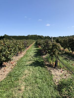 BELKIN FAMILY LOOKOUT FARM - Updated September 2024 - 205 Photos & 294 ...