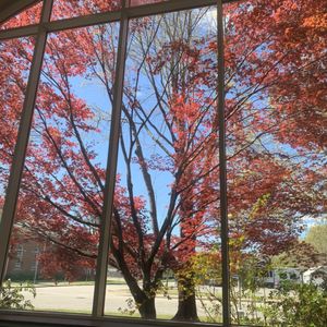 RUSSELL MEMORIAL LIBRARY - Updated October 2025 - 40 Photos - 2808 ...