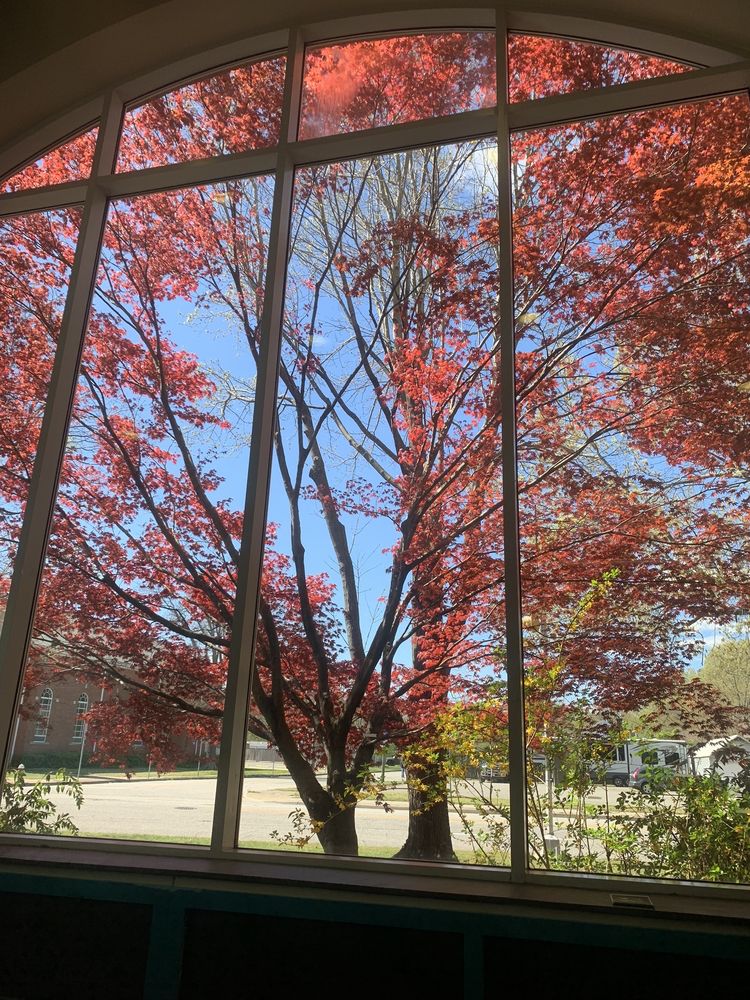 MAIN STREET LIBRARY - Updated October 2024 - 21 Photos - 110 Main St ...