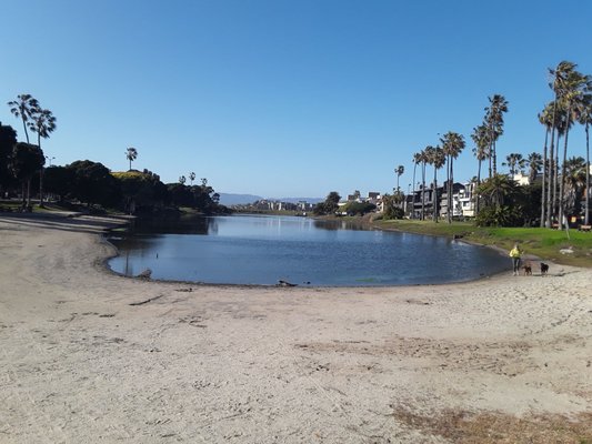 DEL REY LAGOON - Updated March 2025 - 117 Photos & 46 Reviews - 6660 ...