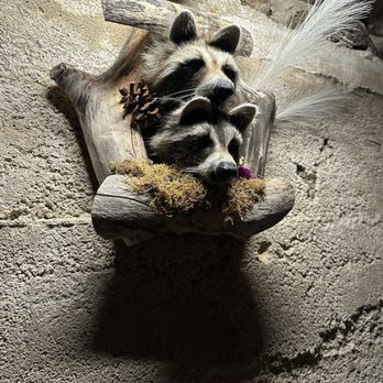 THE SICK STAG - Updated July 2025 - 48 Photos & 22 Reviews - 1219 1st ...