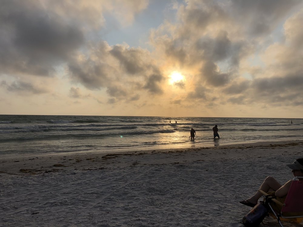 Endless Summer Eco Tours and Rentals, Sarasota | Roadtrippers