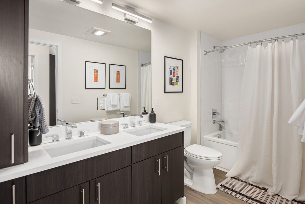 SITELINE APARTMENTS - Updated September 2025 - 47 Photos - 223 Taylor ...