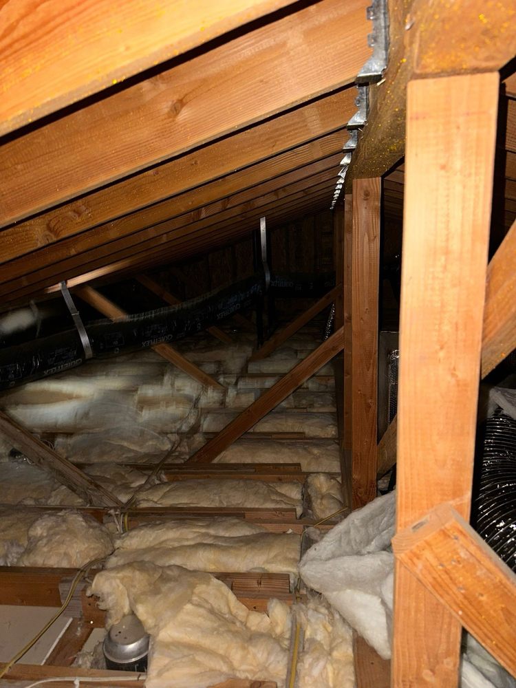 NEO ATTIC SOLUTIONS - Updated January 2026 - 173 Photos & 55 Reviews ...