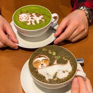 HIMALAYAN COFFEE HOUSE - 425 Photos & 162 Reviews - 2552 Yonge Street ...