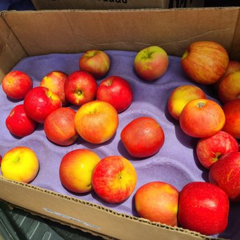 RIVER CITY PRODUCE - Updated December 2025 - 54 Photos & 22 Reviews ...