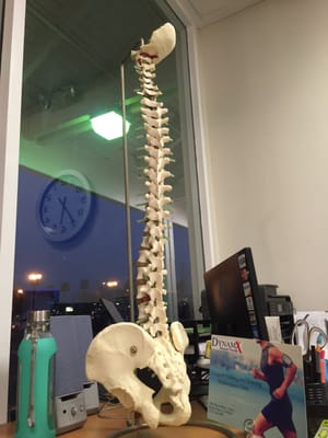 ALL STAR PHYSICAL THERAPY - Updated June 2026 - 16 Photos & 50 Reviews ...