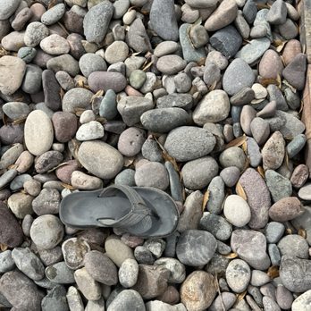 STAR NURSERY - Updated March 2025 - 302 Photos & 242 Reviews - 8725 S ...