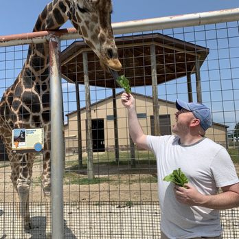 BOULDER RIDGE WILD ANIMAL PARK - Updated November 2025 - 151 Photos ...