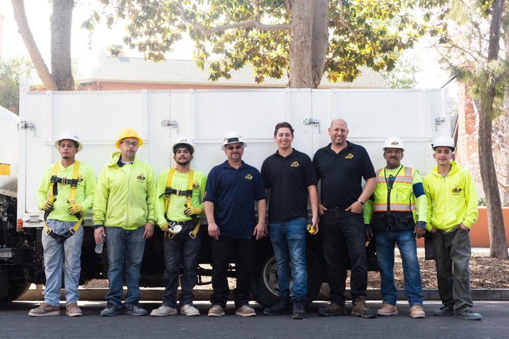 ACE DEMOLITION - Updated October 2025 - 121 Photos & 75 Reviews - 11471 Orcas Ave, Los Angeles ...