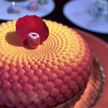 AURORA - SHIMMERING DELICACIES - Updated April 2025 - 382 Photos & 136 ...