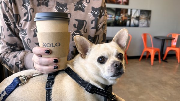 XOLO COFFEE - Updated December 2025 - 200 Photos & 156 Reviews - 2428 N ...