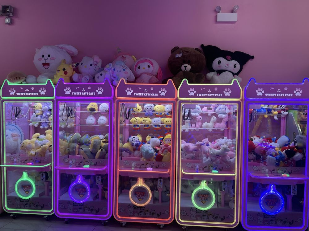 SWEET CATS CAFE - Updated January 2026 - 141 Photos & 32 Reviews - 21 E ...