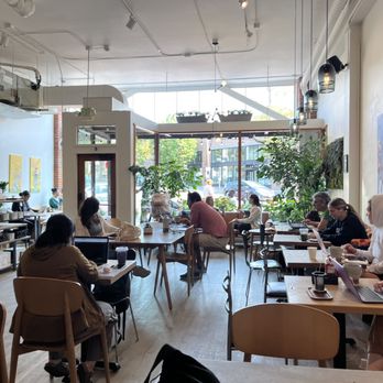 MIRO TEA - Updated April 2024 - 670 Photos & 546 Reviews - 5405 Ballard ...