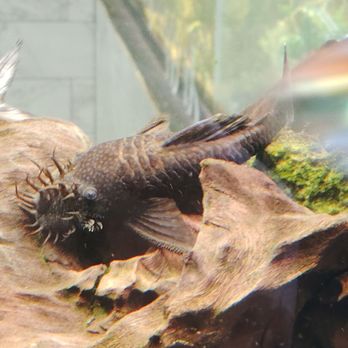 STRICTLY REEF - Updated December 2025 - 122 Photos & 68 Reviews - 907 W ...