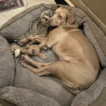 MILO FOUNDATION - 197 Photos & 300 Reviews - 220 S Garrard Blvd, Point ...