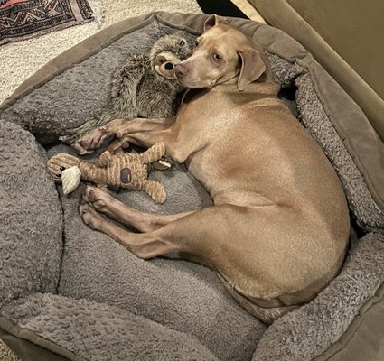 MILO FOUNDATION - Updated August 2024 - 198 Photos & 317 Reviews - 220 ...