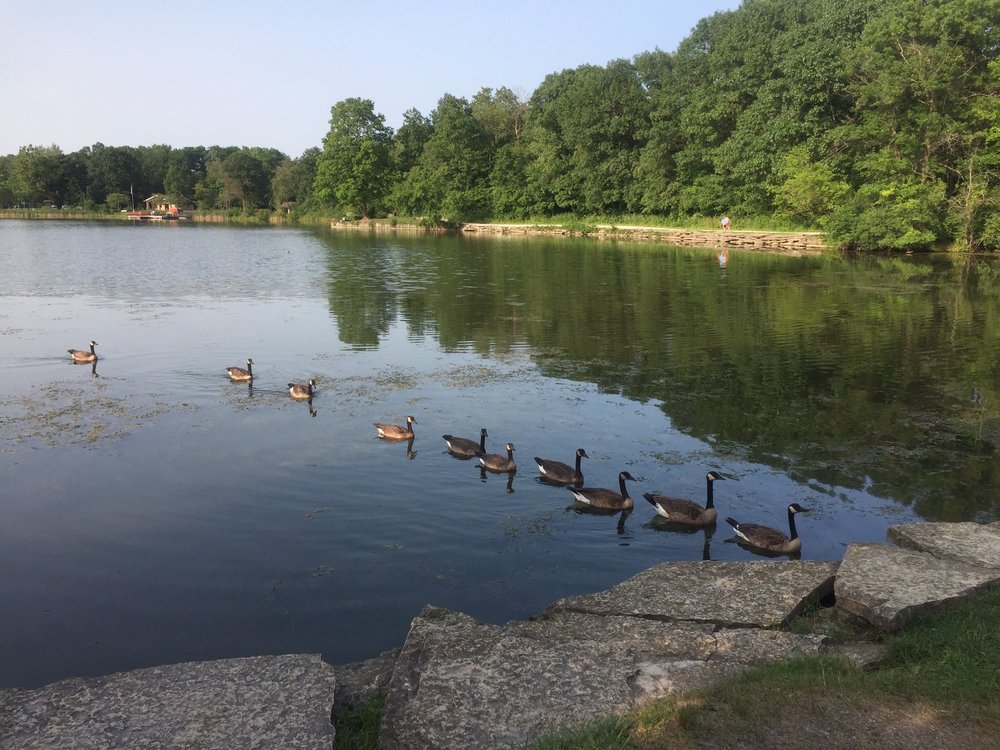 HERRICK LAKE FOREST PRESERVE - 79 Photos & 36 Reviews - Parks - 3S580 ...