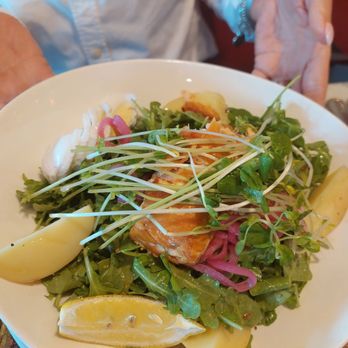 THE ABBOT ON EGLINTON - Updated December 2025 - 36 Photos & 44 Reviews ...