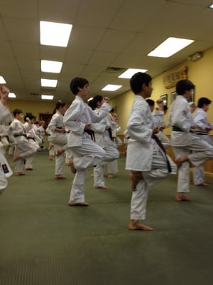 Okinawan Shido Kan Karate Dojo Updated October 2025 12 68 River Rd