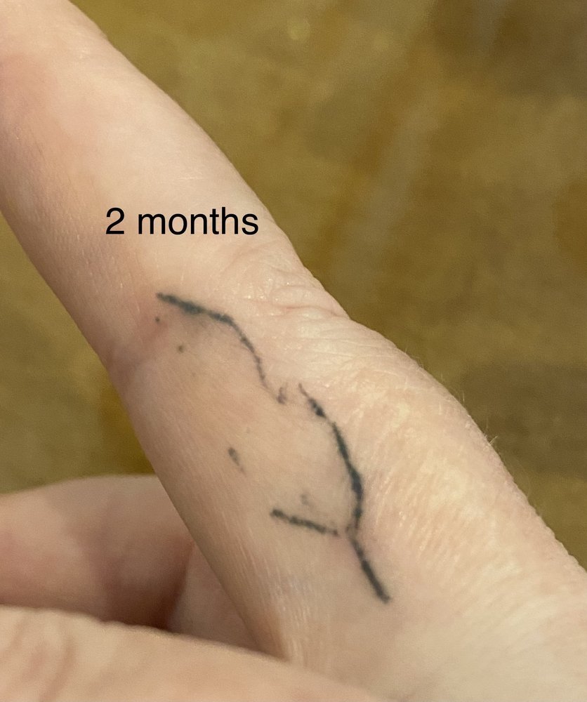 INFAMOUS TATTOO - Updated May 2025 - 12 Photos - 338 W Burleigh Blvd ...