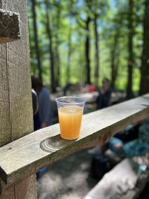 BIG RAIL BREWING - Updated October 2025 - 85 Photos & 21 Reviews - 2158 ...