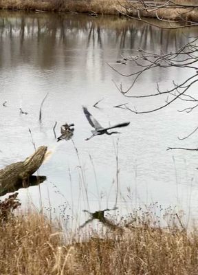 WEST RIDGE NATURE PARK - Updated September 2025 - 208 Photos & 19 ...