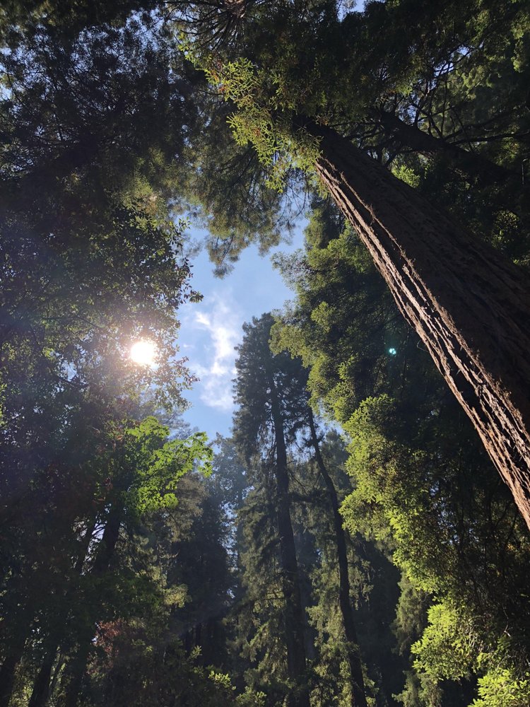 HOPE FOREST THERAPEUTIC ART STUDIO - Updated May 2025 - 800 Roosevelt ...