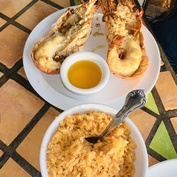 VILLA ORTEGA’S - Updated July 2024 - 1095 Photos & 320 Reviews - Barracuda 77, Puerto Nuevo ...