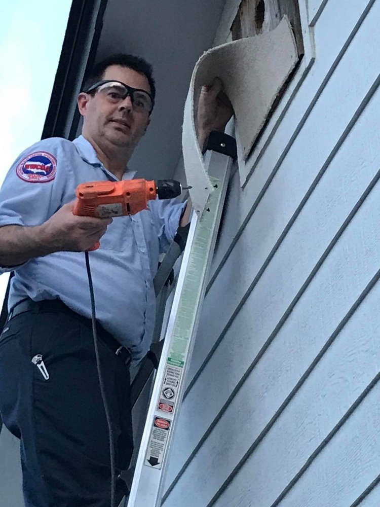 WILDLIFE PEST CONTROL NEW YORK CITY - Updated September 2025 - 34 ...