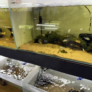 CK FISH WORLD - Updated October 2025 - 445 Photos & 479 Reviews - 541 ...