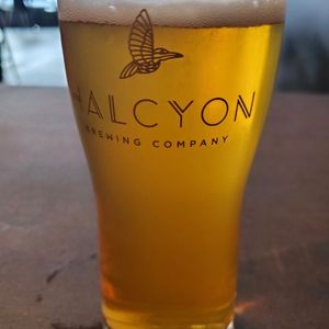 HALCYON BREWING COMPANY - 22 Photos & 16 Reviews - Breweries - 8564 ...