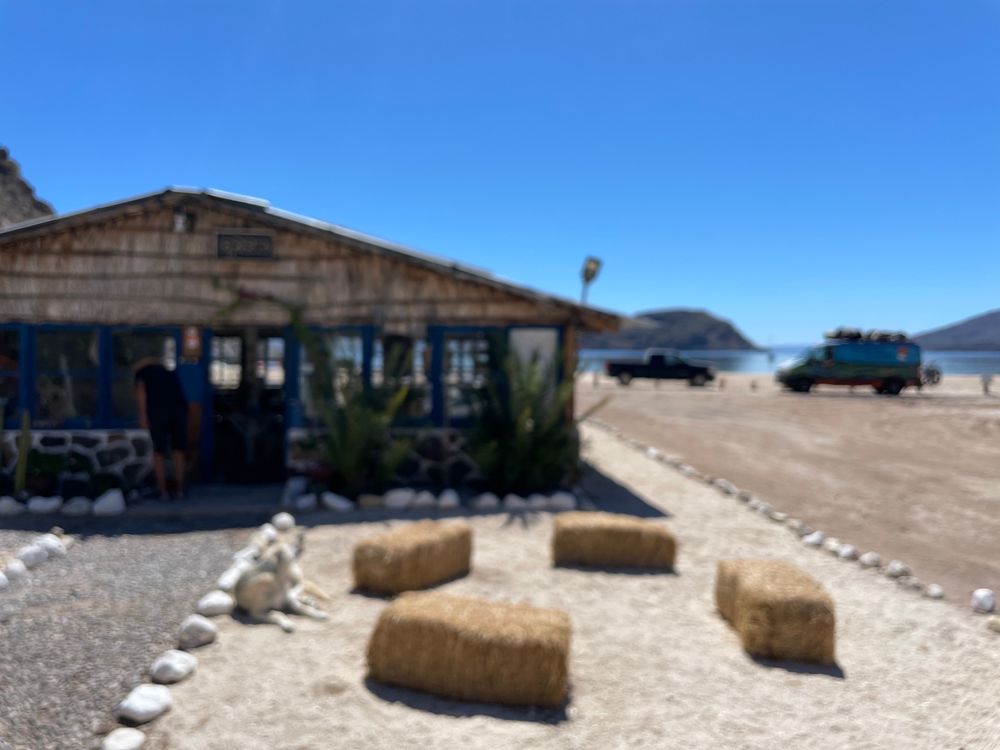 CAFE NOMADICO - México 1, Mexico - Bars - Yelp