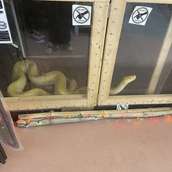 FLOATING SEA AQUATICS - Updated January 2025 - 238 Photos & 49 Reviews ...