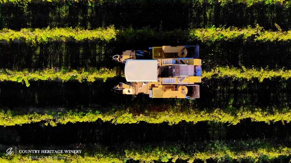 COUNTRY HERITAGE WINERY & VINEYARD - Updated September 2024 - 134 ...