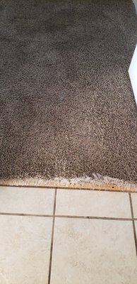 JIFFY CLEAN CARPET & UPHOLSTERY CLEANING - Updated June 2025 - 50 ...