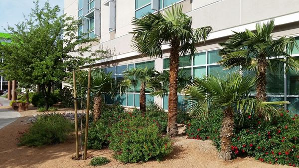 ST GEORGE REGIONAL HOSPITAL - Updated December 2025 - 44 Photos & 67 ...