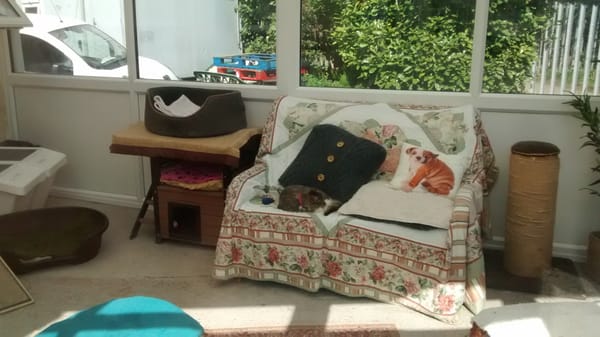 MILLSTREAM ANIMAL SHELTER - Updated January 2025 - Millstream Lane ...